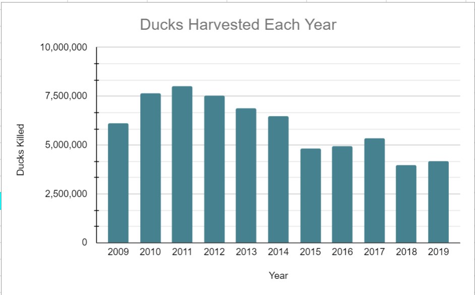 graph-ducks-harvested-each-year – Duck Tracker