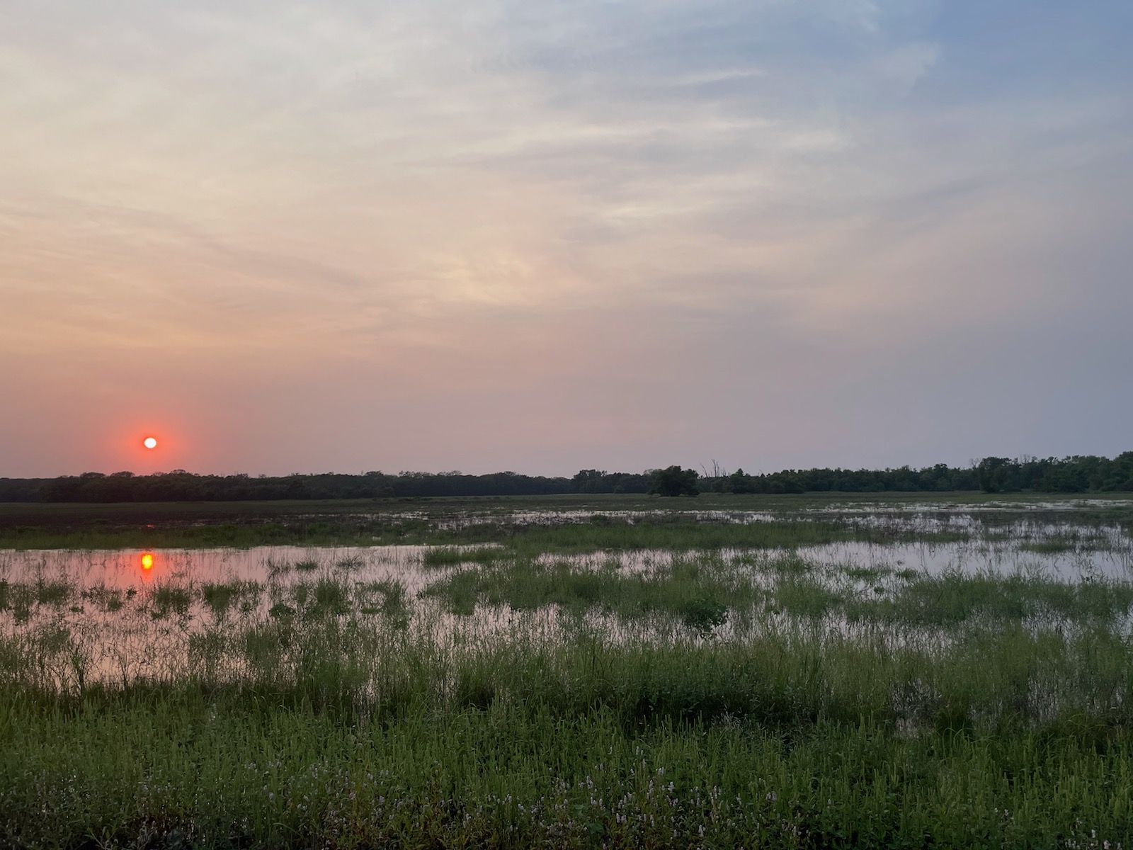 sunset_over_duck_hunting_marsh – Duck Tracker